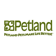 GAM Tech - Best in Calgary - IT Solutions | Managed IT Services